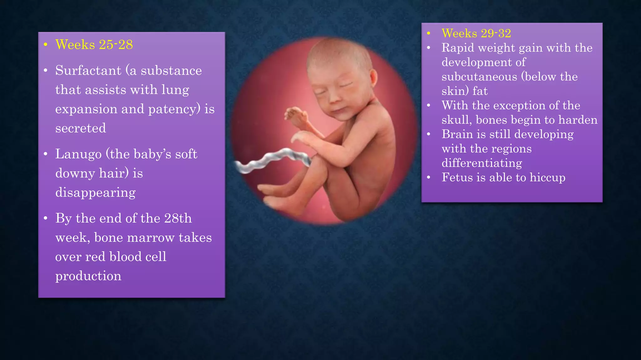 Stages of foetal development | PPTX
