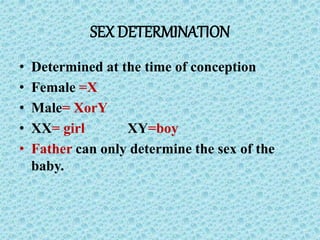 Stages of gestation | PPTX