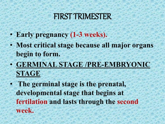 Stages of gestation | PPTX