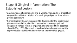 STAGES OF GINGIVAL INFLAMMATION PERIODONTICS | PPTX