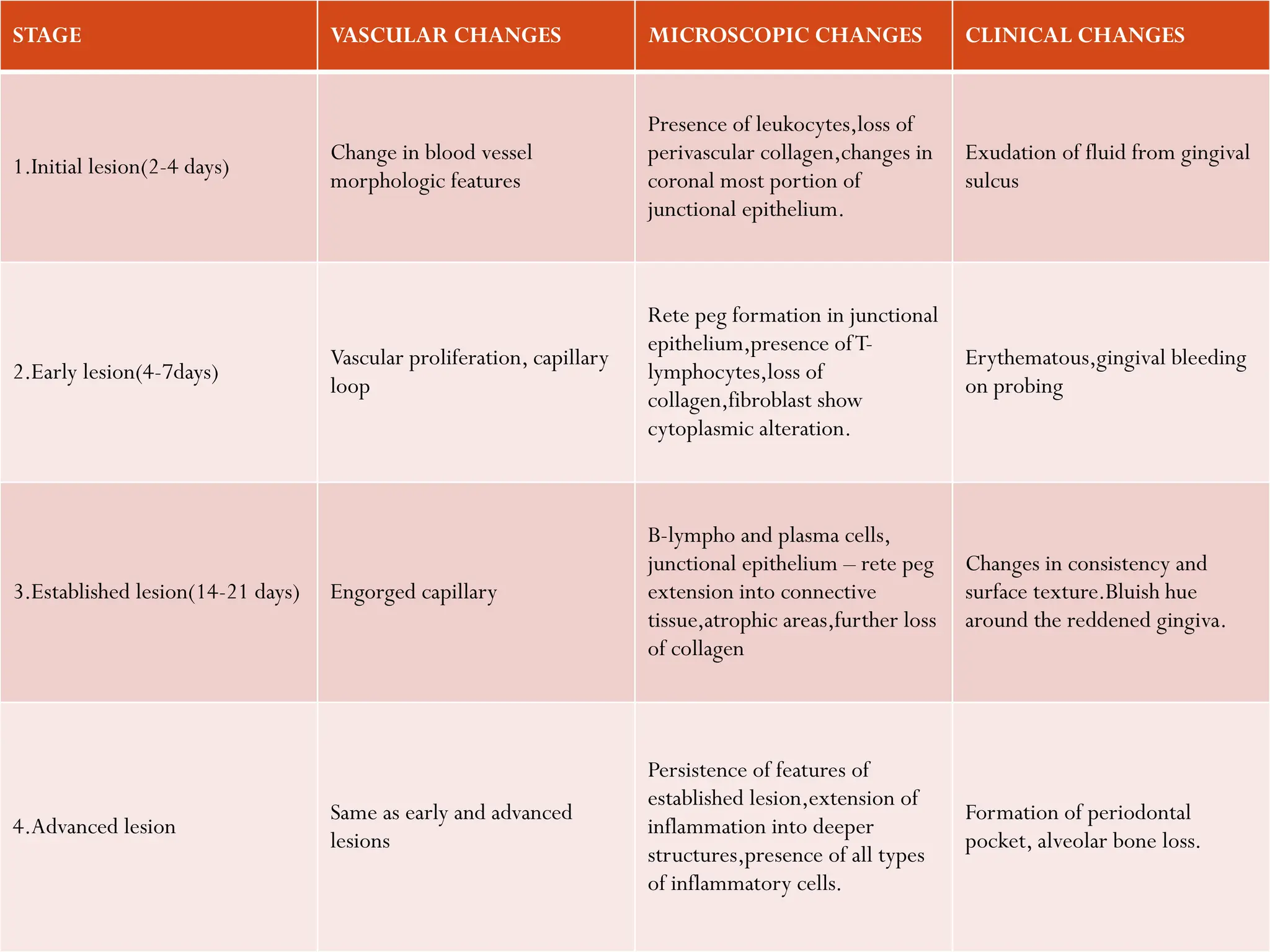 Gingival inflammation-Stages of Gingivitis.pptx