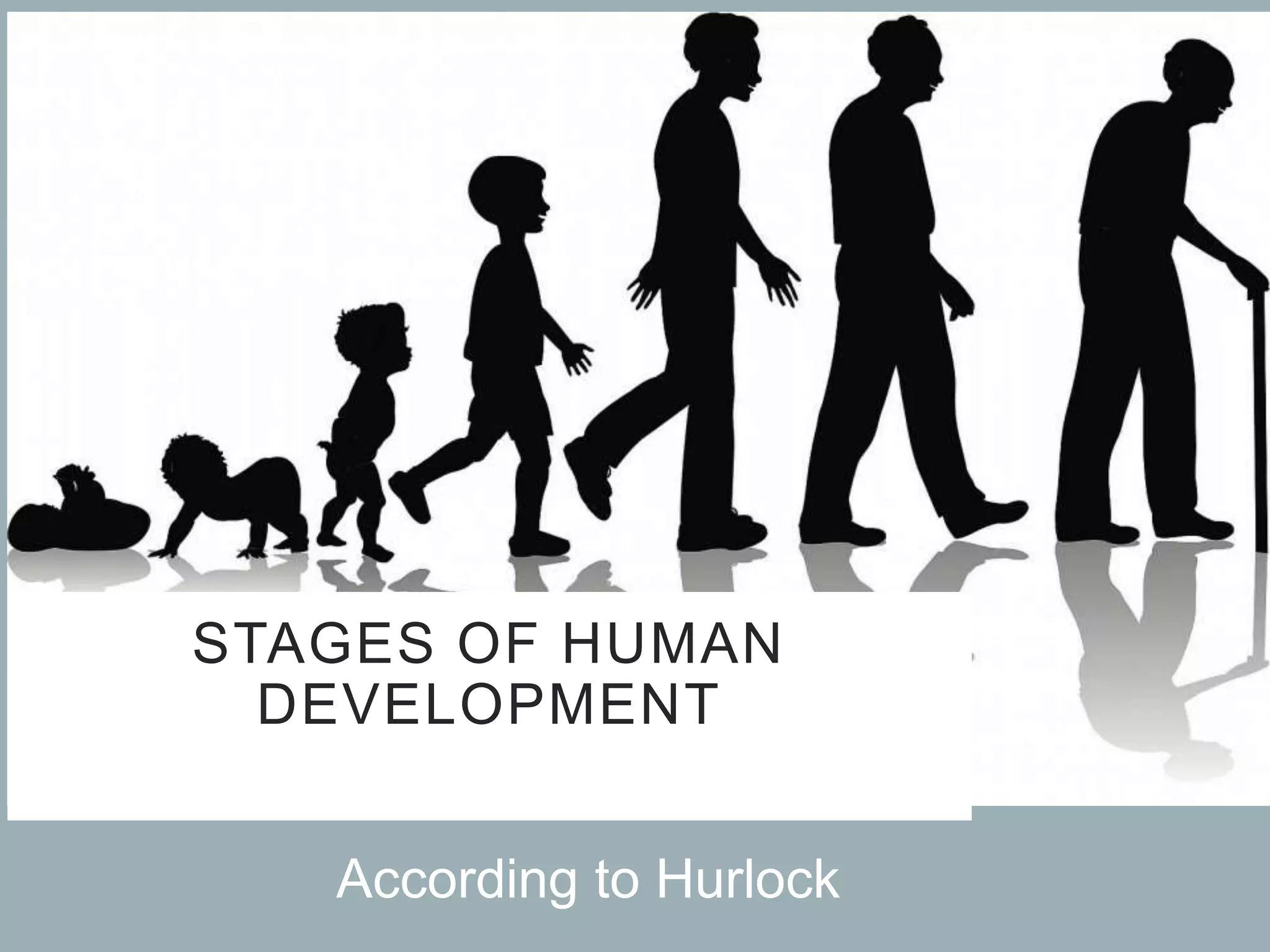Stages of Human development According to the Hurlock. | PPT