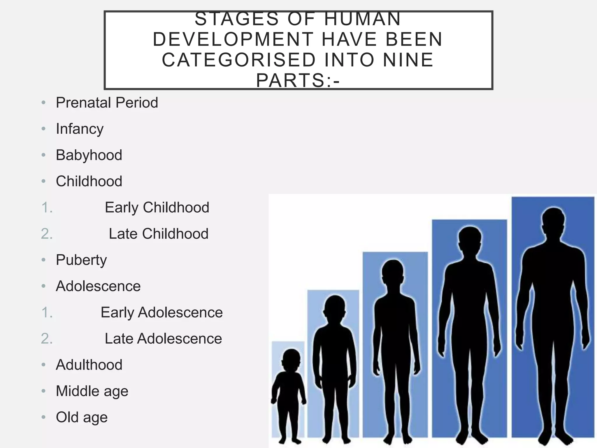 Stages of Human development According to the Hurlock. | PPT