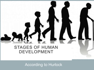 Stages of Human development According to the Hurlock. | PPT