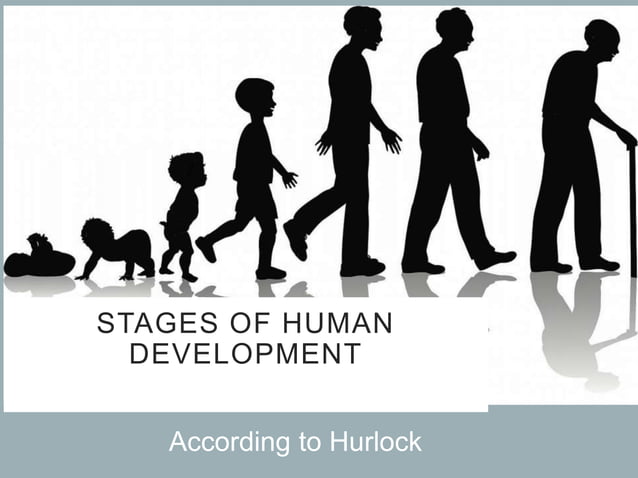 Stages of Human development According to the Hurlock. | PPT | Parenting ...