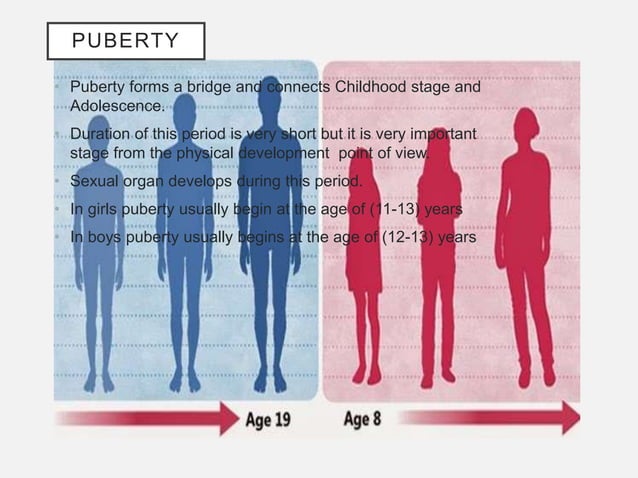 Stages of Human development According to the Hurlock. | PPT | Parenting ...