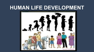 STAGES OF HUMAN DEVELOPMENTGRADE 4.pptx | Daycare and Pre-School ...