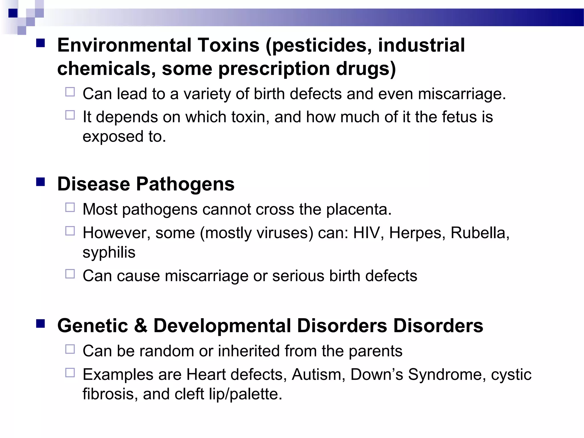 Stages of Human Embryo Development | PPT
