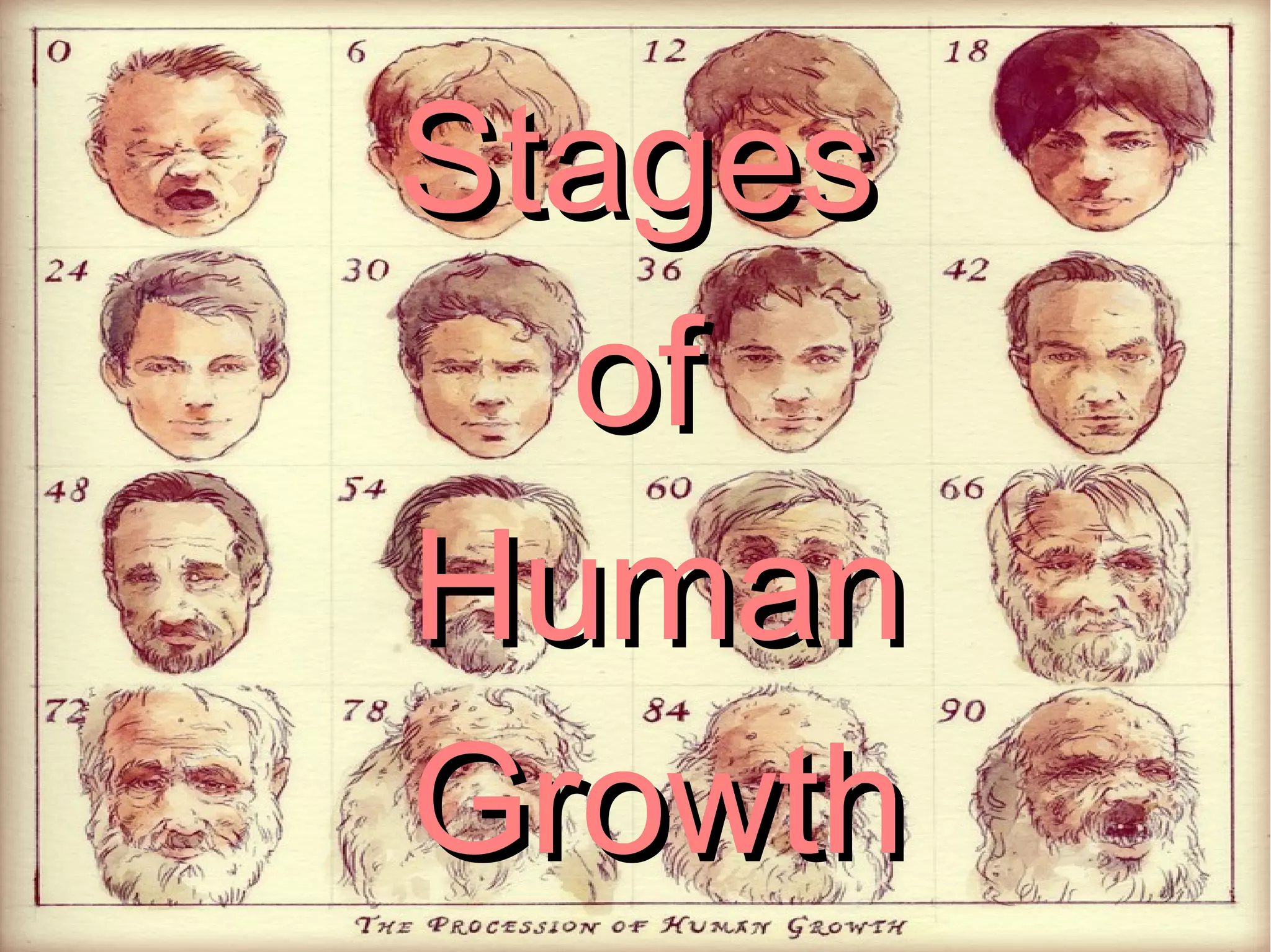Stages of Human Growth (Pre-natal development - Senescence) | PPT