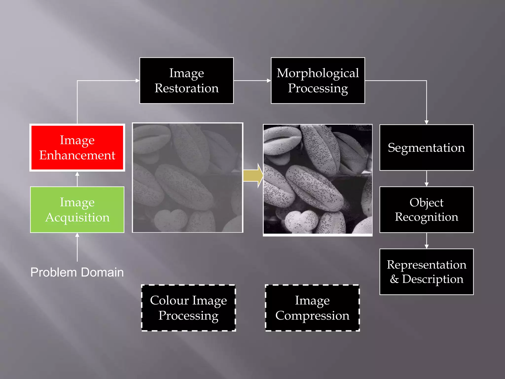 Stages of image processing | PPTX