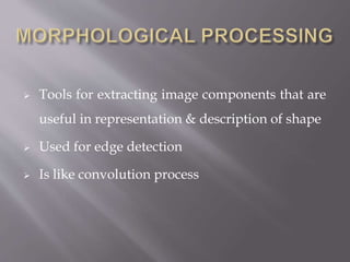 Stages of image processing | PPTX
