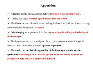 stages of implantation.pptx