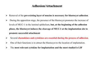 stages of implantation.pptx