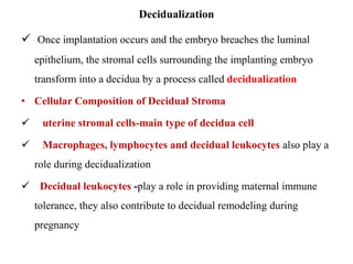 stages of implantation.pptx