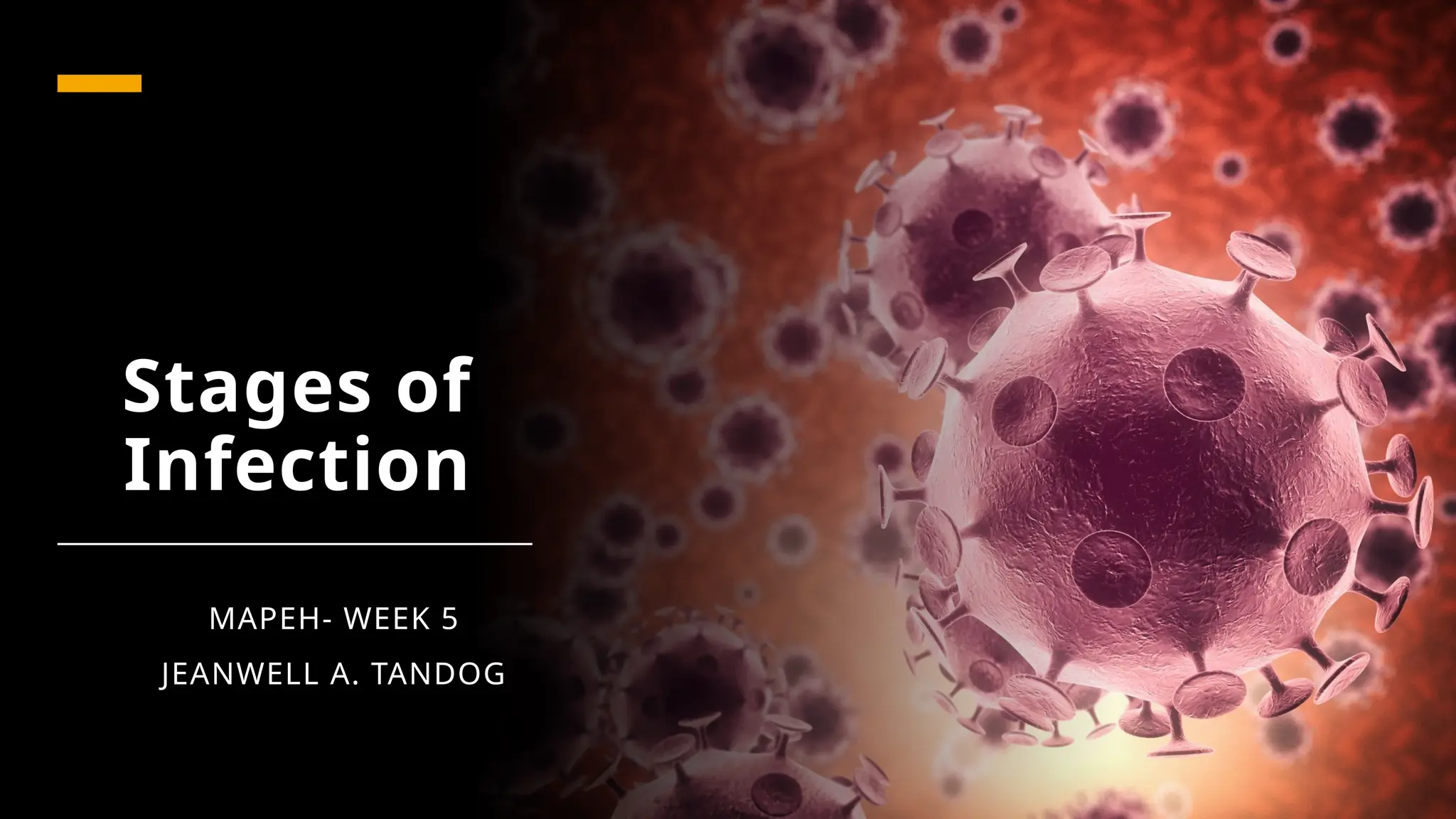 STAGES OF INFECTION melcs based presentation.pptx