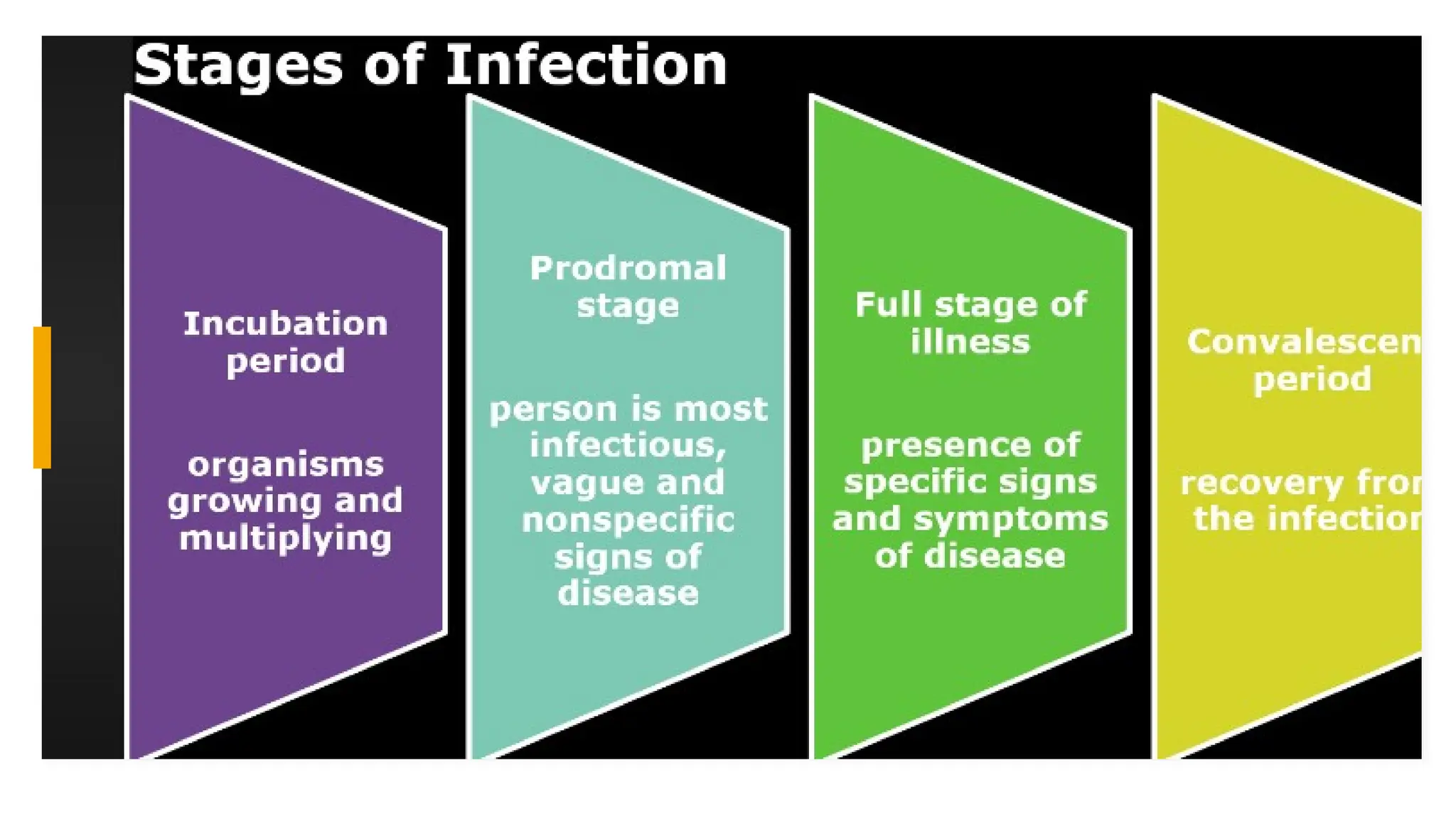 STAGES OF INFECTION melcs based presentation.pptx