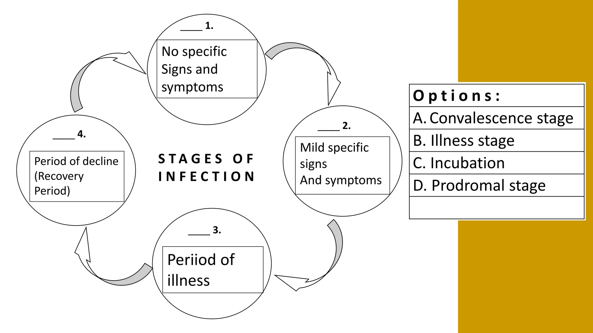 Stages of Infection powerpoint presentationx | PPTX