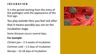 Stages of Infection powerpoint presentationx | PPTX