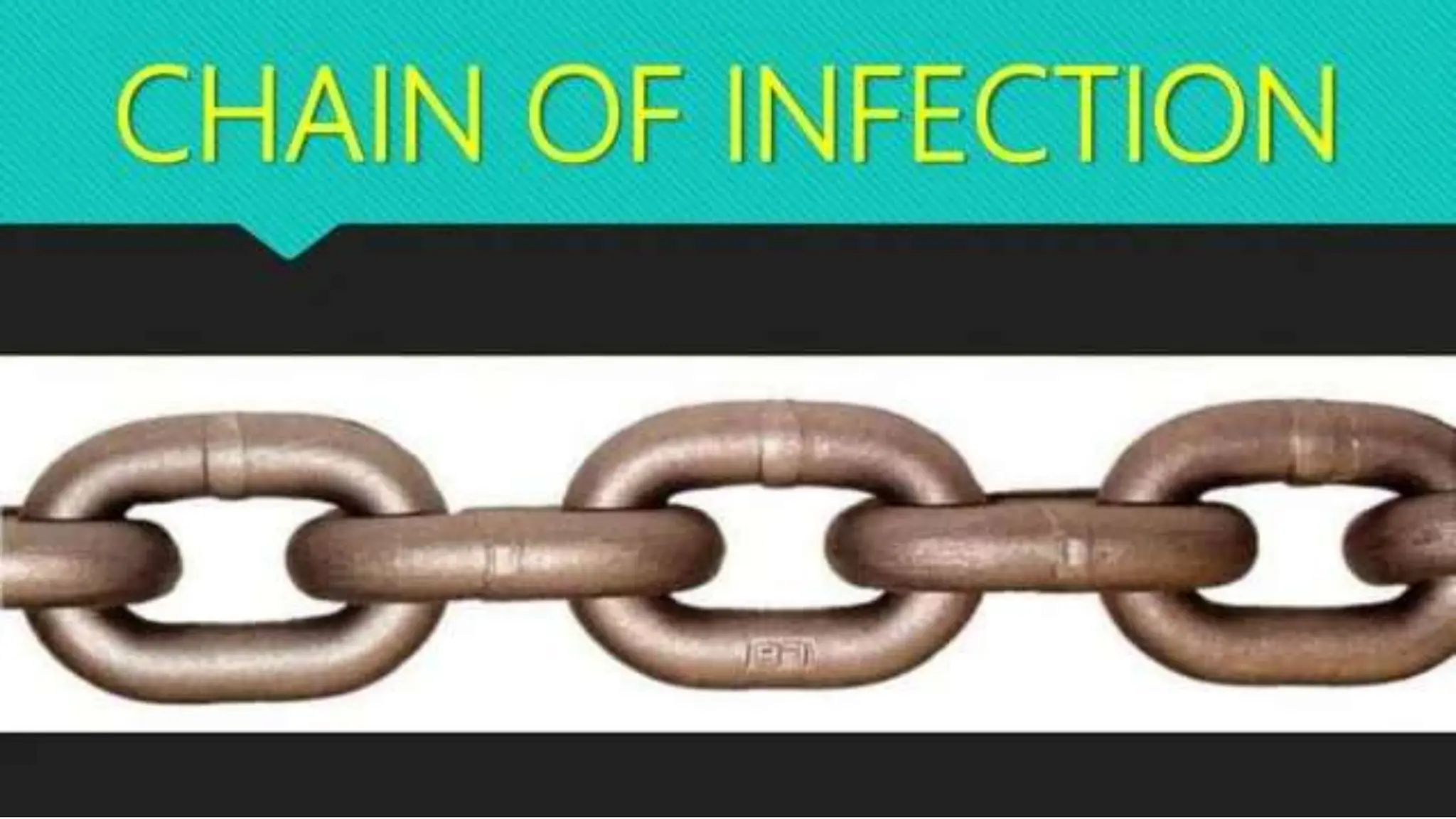 Stages of Infection Grade 8 and chain of infection | PPT