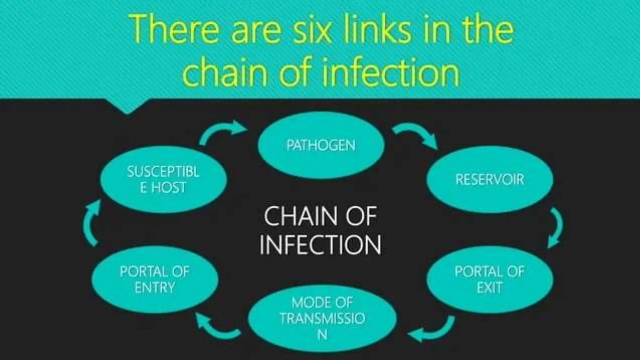 Stages of Infection Grade 8 and chain of infection | PPTX
