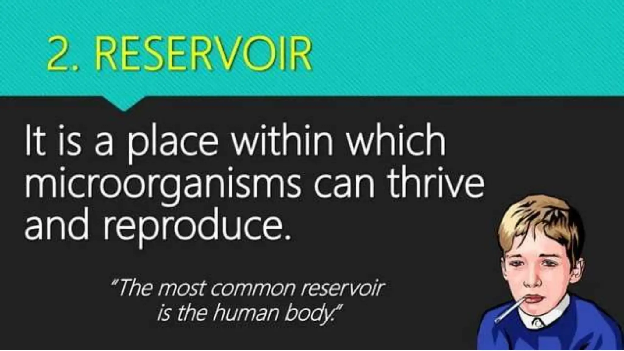 Stages of Infection Grade 8 and chain of infection | PPTX