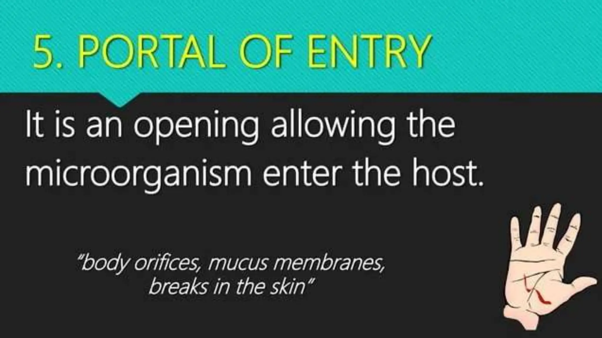 Stages of Infection Grade 8 and chain of infection | PPTX