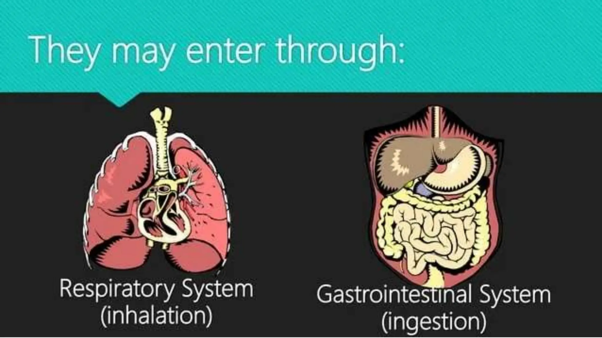 Stages of Infection Grade 8 and chain of infection | PPTX