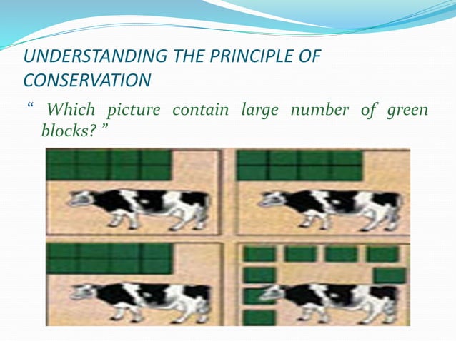 Stages of intellectual development | PPTX