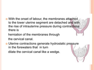 stages of labor.pptx.................... | PPTX