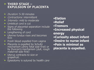 Stages Of Labor Recap | PPT | Pregnancy | Reproductive Health