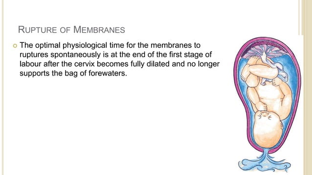 Stages of labour | PPTX | Pregnancy | Reproductive Health