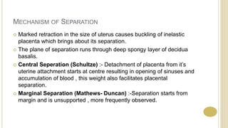 Stages of labour | PPTX