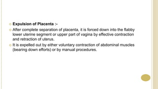 Stages of labour | PPTX