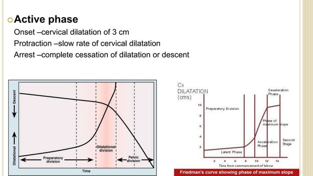 Stages of labour | PPTX | Pregnancy | Reproductive Health