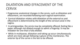 Stages of labour.pptx | Pregnancy | Reproductive Health