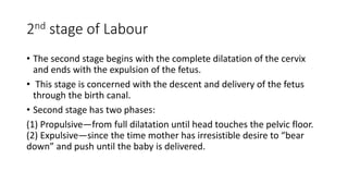Stages of labour.pptx | Pregnancy | Reproductive Health