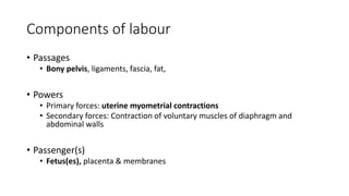Stages of labour.pptx | Pregnancy | Reproductive Health