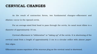 Stages of labour presentation in obstetrics.pptx