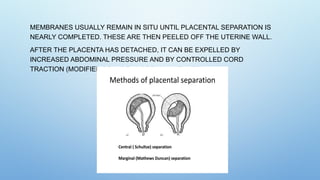 Stages of labour presentation in obstetrics.pptx