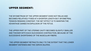 Stages of labour presentation in obstetrics.pptx