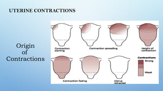Stages of labour presentation in obstetrics.pptx