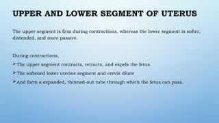 Stages of labour presentation in obstetrics.pptx