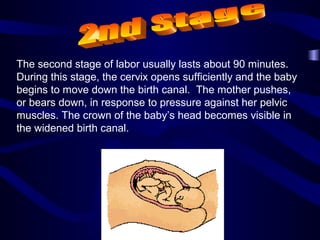 Stages of labour and alternative therapies | PPT