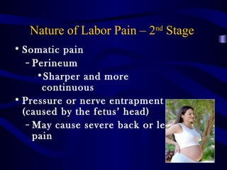 Stages of labour and alternative therapies | PPT