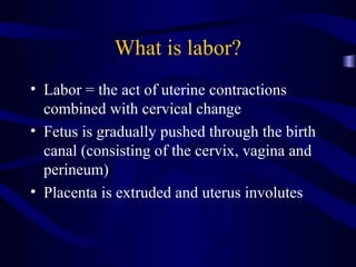 Stages of labour and alternative therapies | PPT