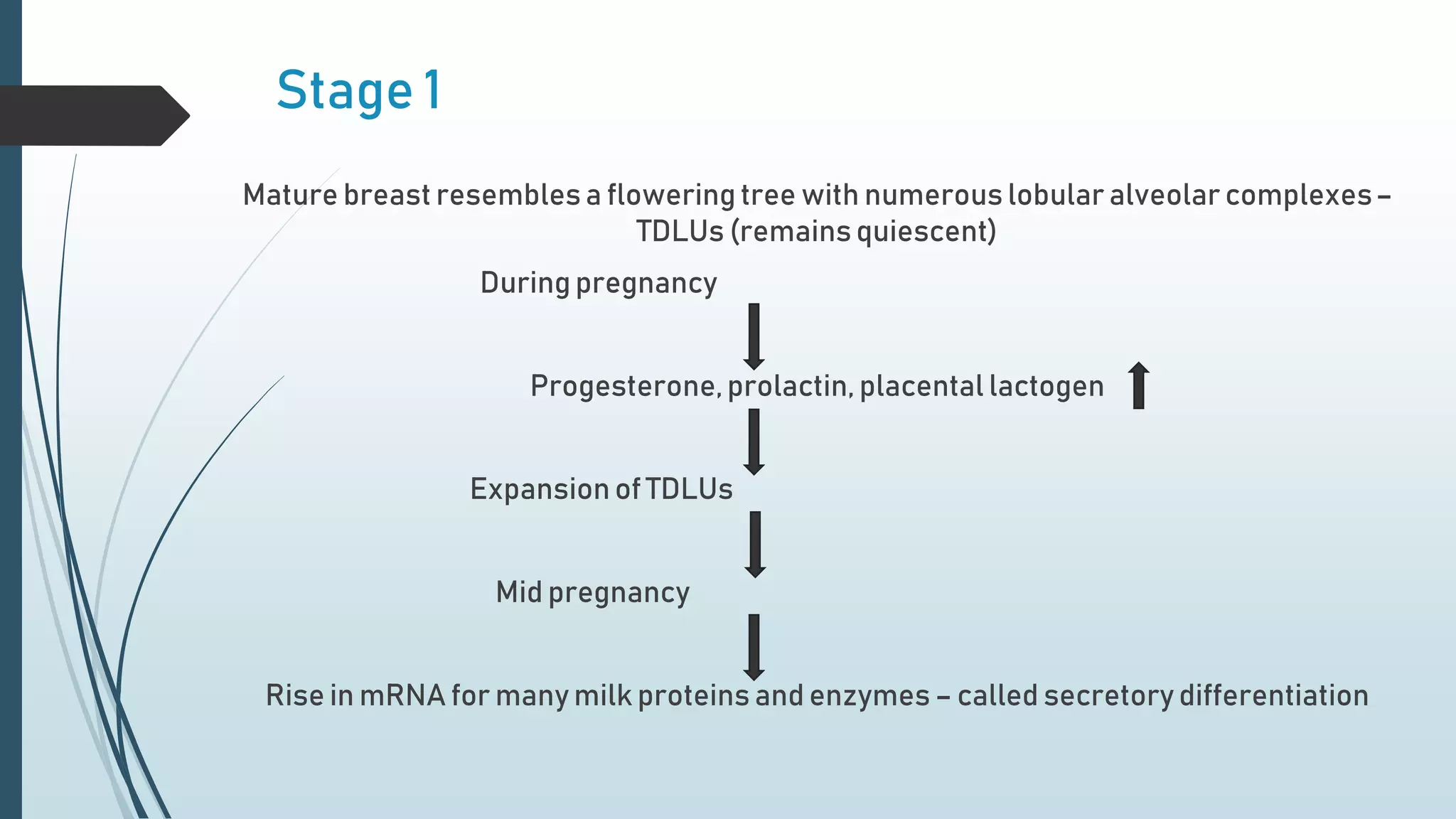 STAGES OF LACTATION AND LACTATIONAL FAILURE.pptx