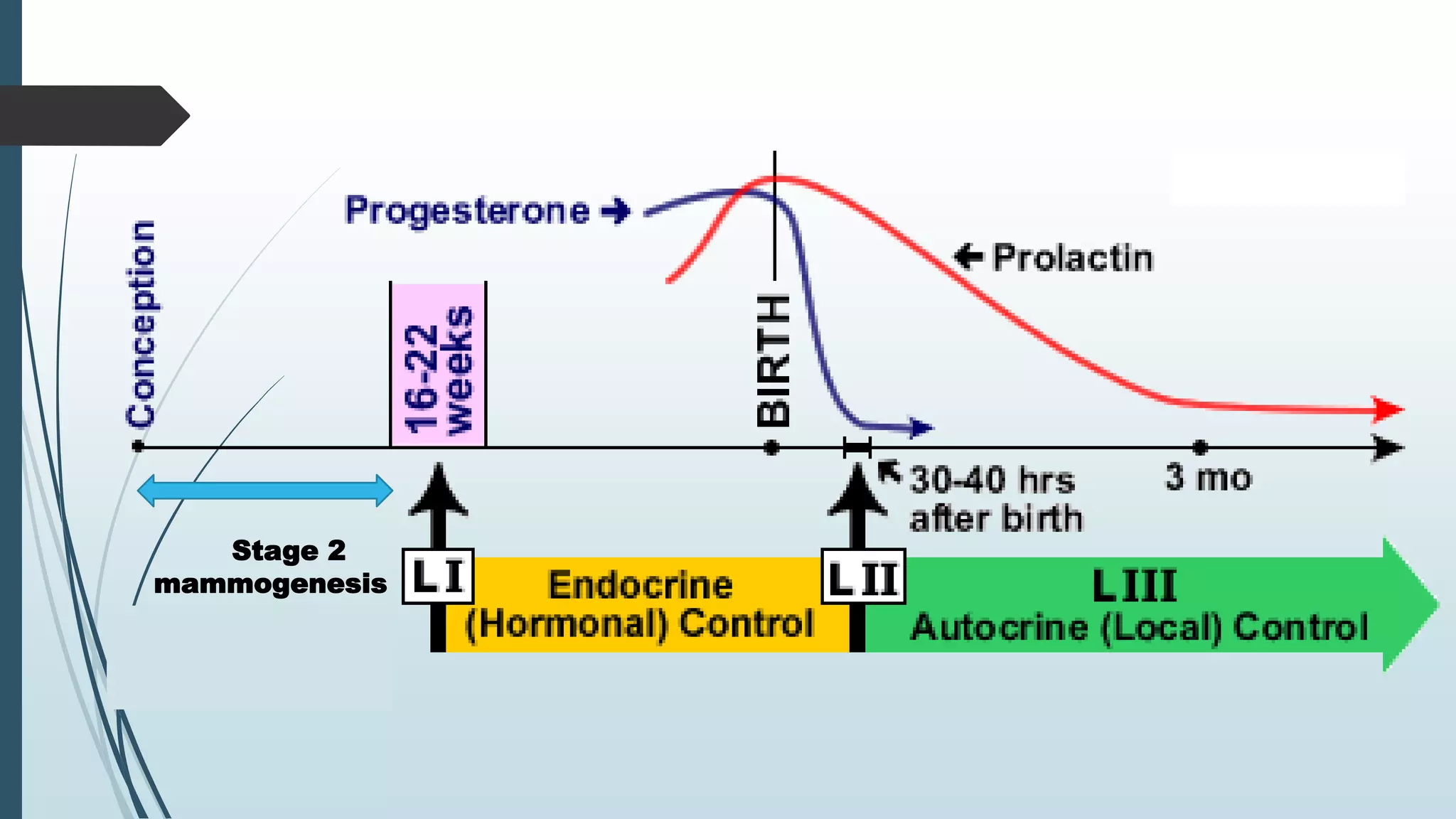 STAGES OF LACTATION AND LACTATIONAL FAILURE.pptx