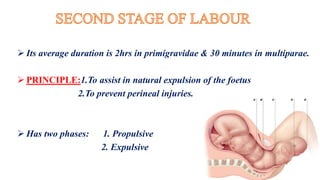 stages of lbour.pptx
