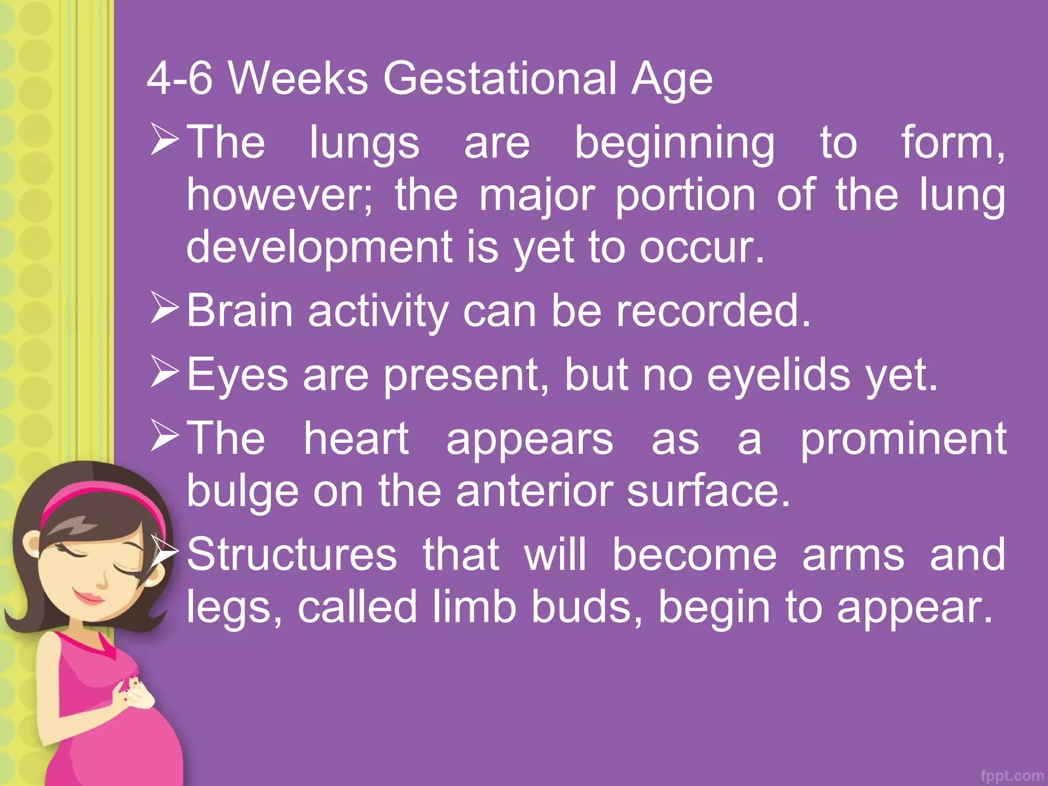 Stages of life | PPT