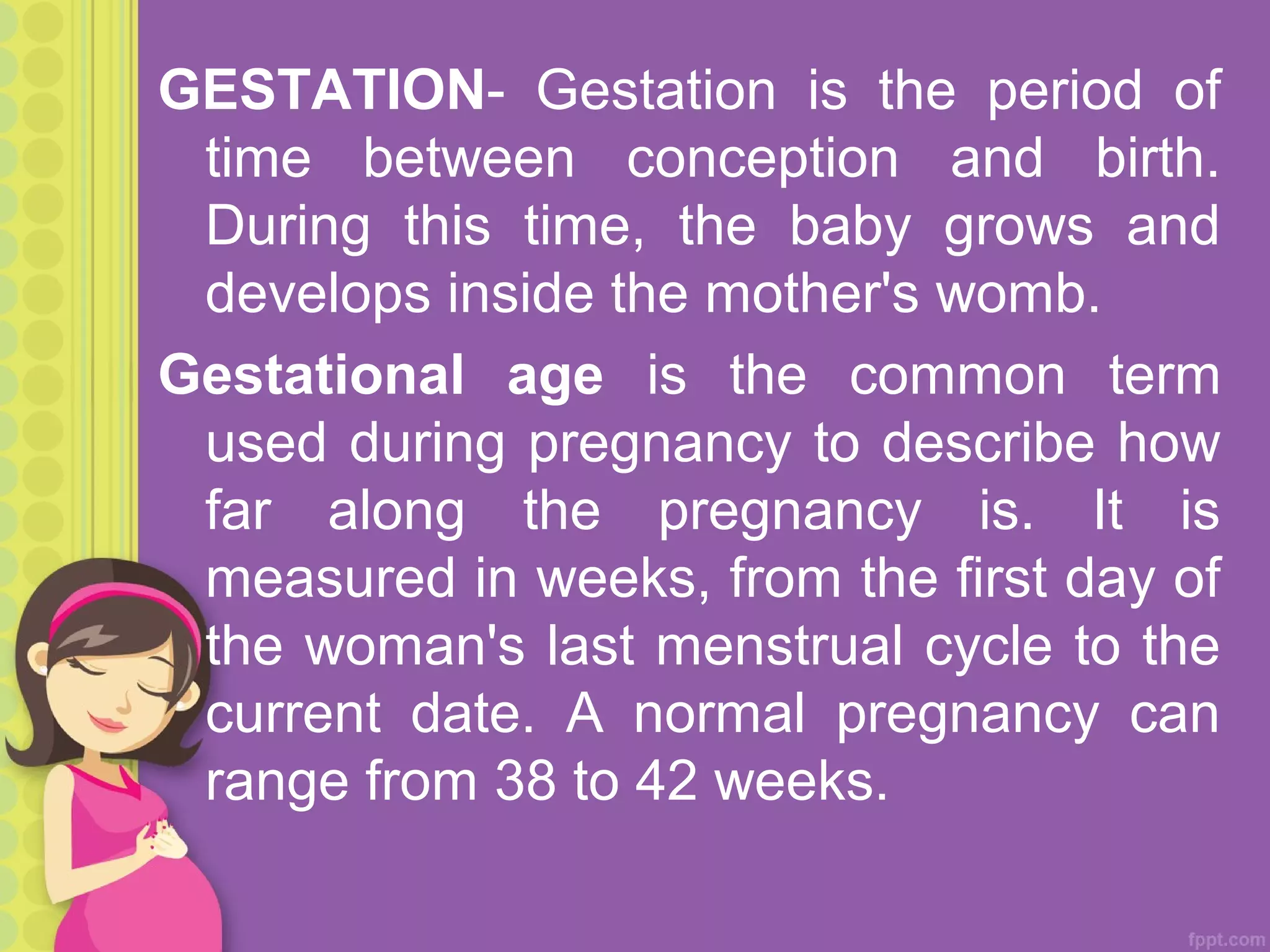 Stages of life | PPT